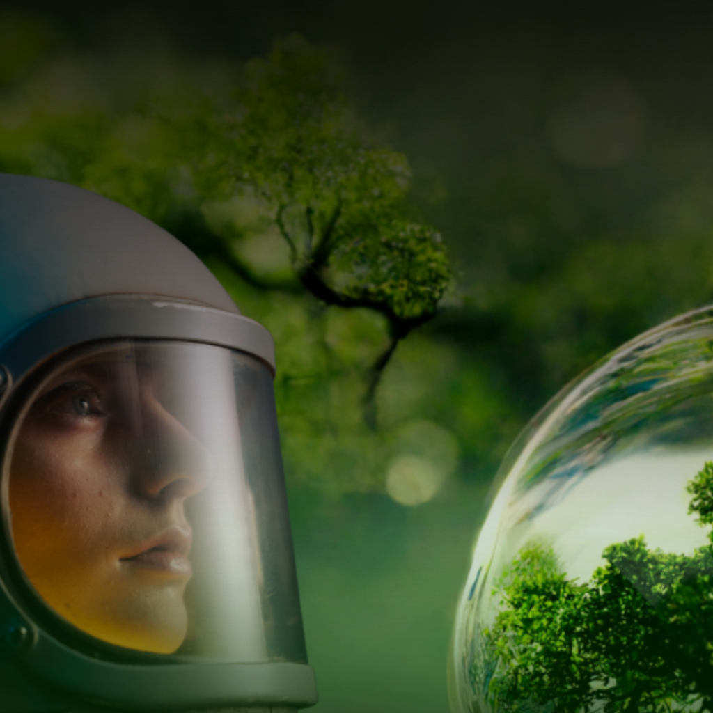 Negócio 5D – Google ADS